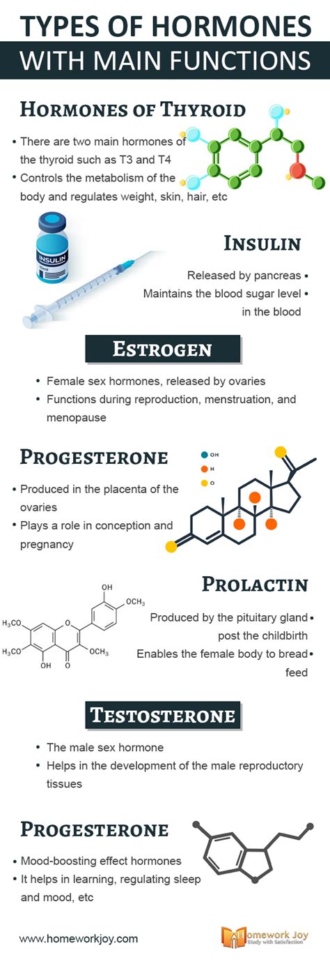 types of hormones with main functions homework joy