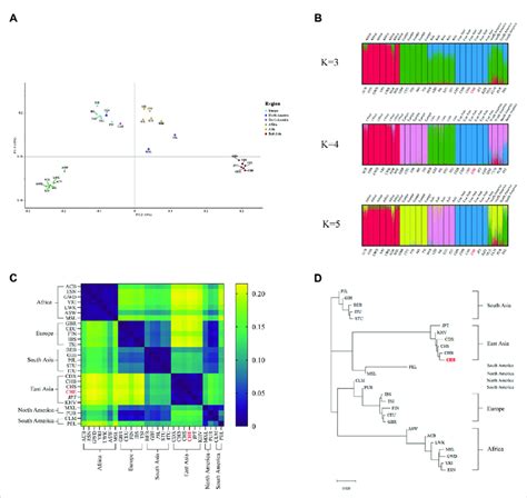 Ancestry Inference Analysis A Pca Of 27 Populations B Structure