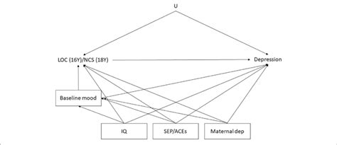 Directed Acyclic Graph Dag Representing Hypothesized Causal