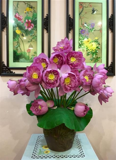 Cách Cắm Hoa Bàn Thờ Ngày Giỗ Lễ Tết Top 8 Loại Hoa Cúng Top Ten