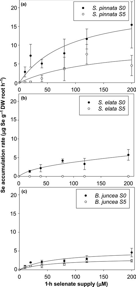 Influence Of Sulfate Supply On Selenium Uptake Dynamics And Expression