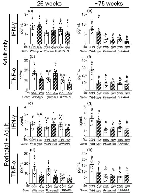 Average Serum Concentration Of Ifnγ A C E G Tnfα B D F H In Adult
