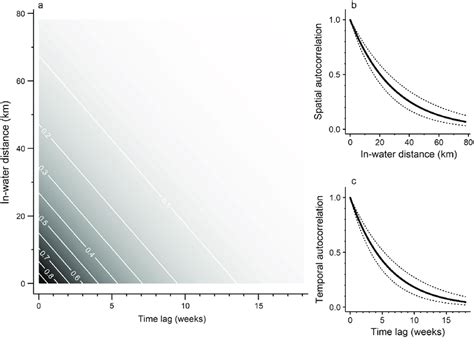 fitted spatiotemporal autocorrelation function a shows the