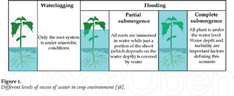 Factors Affecting Yield Of Crops Semantic Scholar