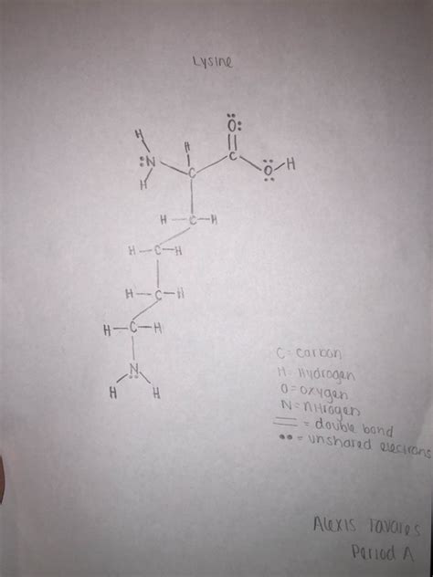 Lewis Structure Drawing Lysine By Alexis Tavares