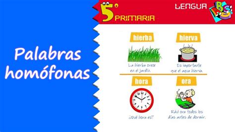 que son las palabras homofonas y 10 ejemplos coleccion de ejemplo images