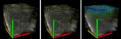 3 D Flow Field Reconstruction Using Finite Element Regularized Optical