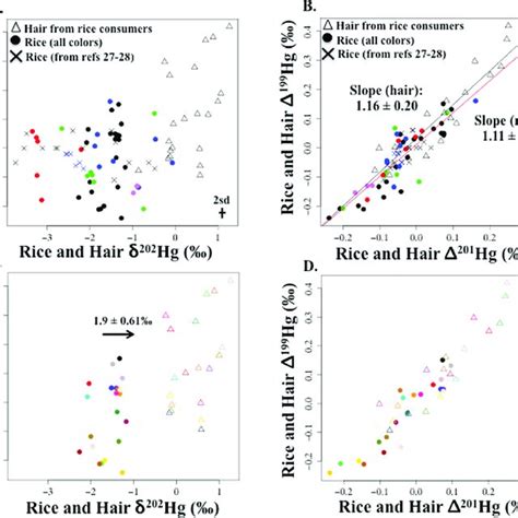 For Rice And Hair Samples A Δ 199 Hg Versus δ 202 Hg And B Δ 199