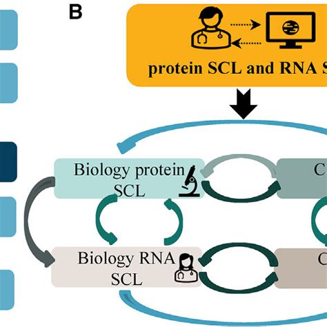 Research Significance Of Subcellular Localization Problem A Protein
