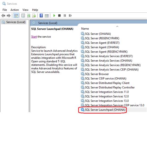 hodentekmsss querying a sql server database in ssms 2016 using r 1