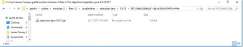 javassist notfoundexception · issue 135 · objectbox objectbox java