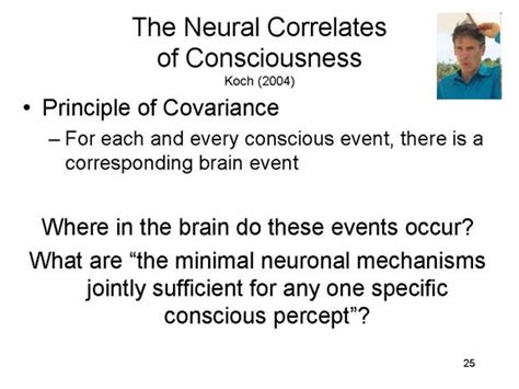 Neural Correlates