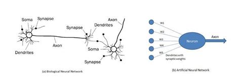 Biological And Artificial Neural Network By Pratiksha Bais Medium
