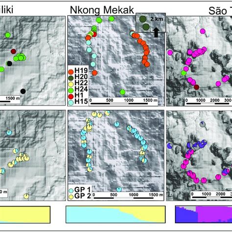 Fine Scale Spatial Genetic Structure In African Populations Of