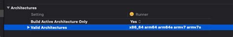 xcode ios simulator build works but real device build