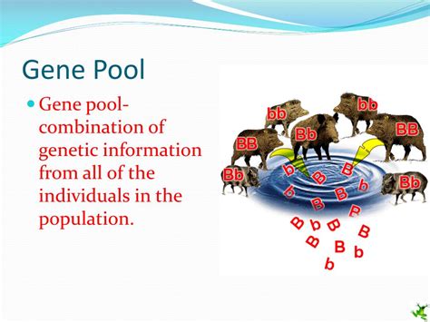 Ppt Population Genetics Powerpoint Presentation Free Download Id