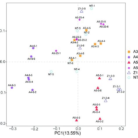 Principal Component Analysis Pca Of Rhizosphere Bacterial Communities