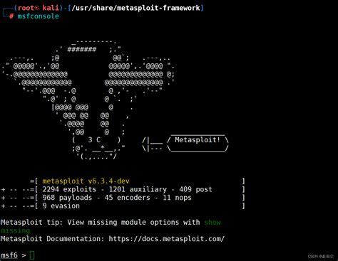 kali中metasploit基本使用方法 kali使用metasploit csdn博客