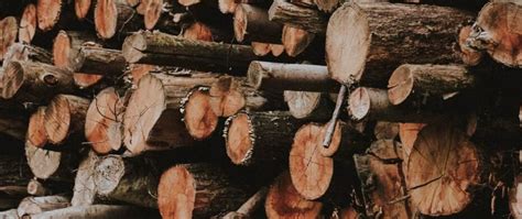 laravel 8 authentication with bootstrap and fortify dev