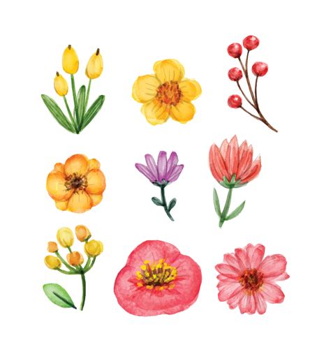 Beautiful Watercolor Flower Set 20739392 Vector Art At Vecteezy