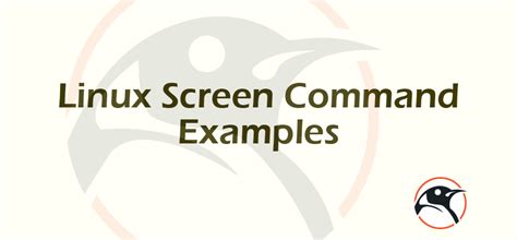 linux screen command examples linux pathfinder