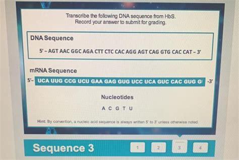 Solved Transcribe The Following Dna Sequence From Hbs