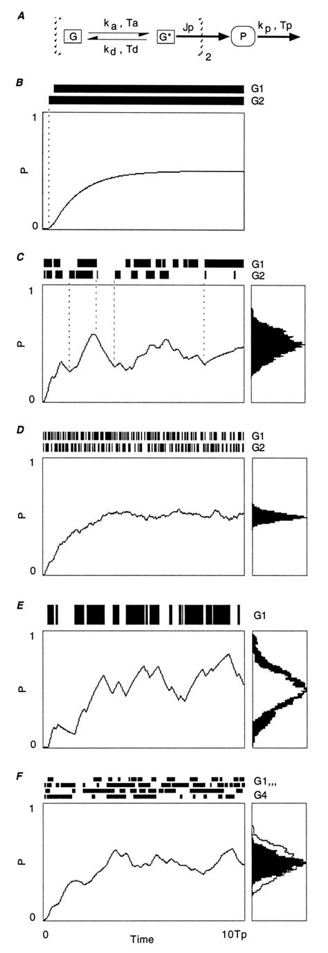 Modeling Stochastic Gene Expression Implications For