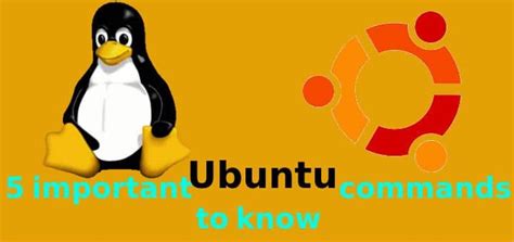 5 important ubuntu commands to know linuxtechlab