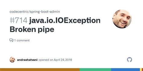 ioexception broken pipe · issue 714 · codecentric spring boot