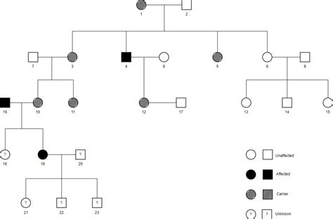 what is pedigree chart