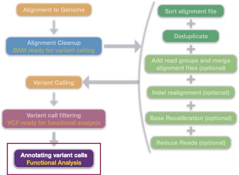 variant annotation with snpeff in depth ngs data analysis course