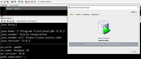 sql developer 19 1 windows 64 bit with jdk 8 included the best