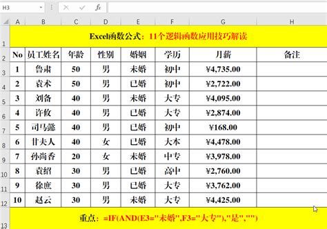 excel工作表中的11个逻辑函数应用技巧解读，中文解读，动图演示