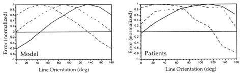 Simulation Of A Line Bisection Experiment Panel A The Network