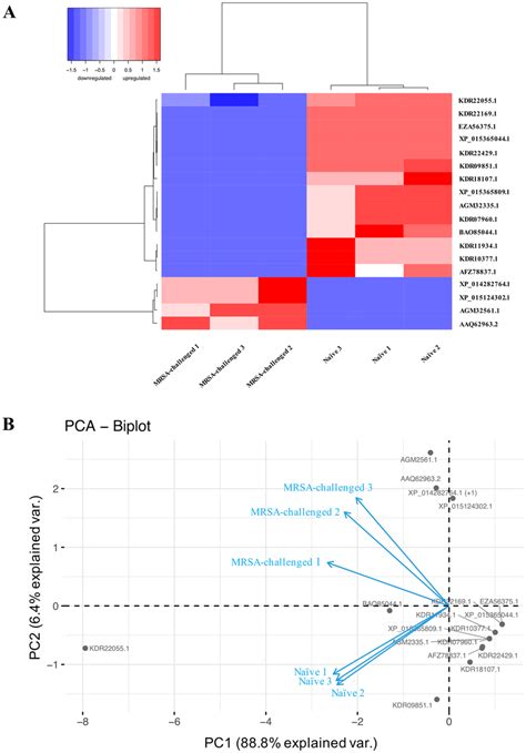 hierarchical clustering analysis a and principal component analysis