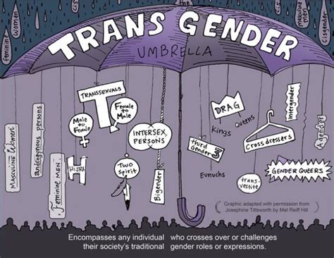 Ask A Gender Therapist What Does Transgender Mean Dara Hoffman Fox