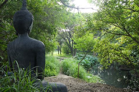 10 Tranquil Yoga And Meditation Retreats In India For Stress Reduction