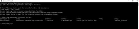 solved how to start hortonworks sandbox hdp on docker cloudera