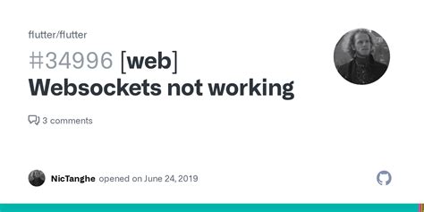 [web] websockets not working · issue 34996 · flutter flutter · github