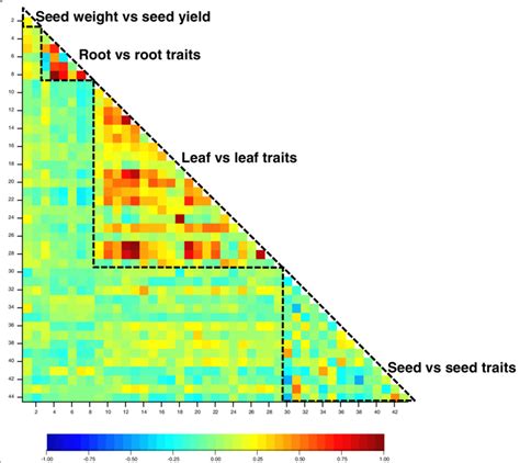 Pair Wise Correlations Of All 44 Traits Tsw And Seed Yield Root