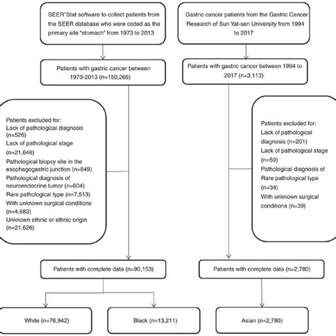 Flowchart Of The Patient Cohorts Download Scientific Diagram