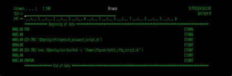 batch sftp download example using password authentication