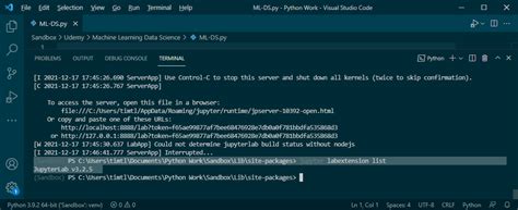 windows can t install extensions for jupyterlab because node js and