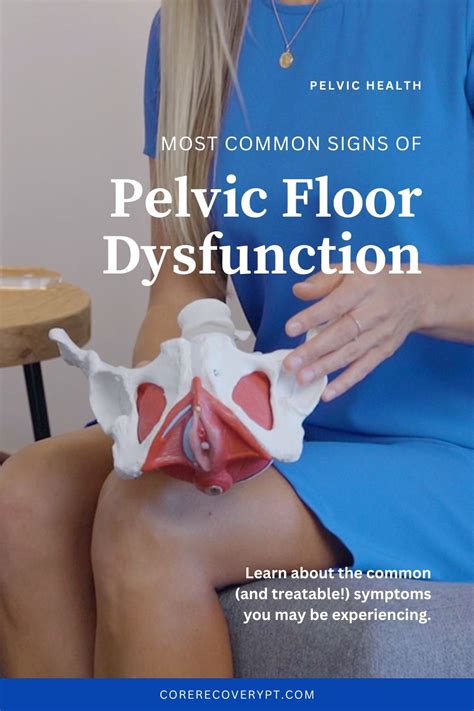 Signs Symptoms Of Pelvic Floor Dysfunction Artofit