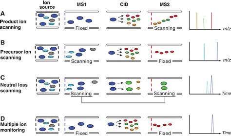 Mass Spectrometry And Protein Analysis Science