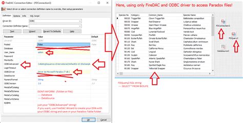 external table not in the expected format databases delphi praxis [en]