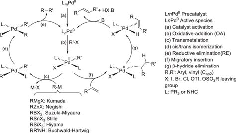 Scheme 3 General Catalytic Cycles For Pd Catalyzed Cross Coupling
