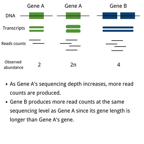 How To Choose Normalization Methods Tpm Rpkm Fpkm For Mrna Expression