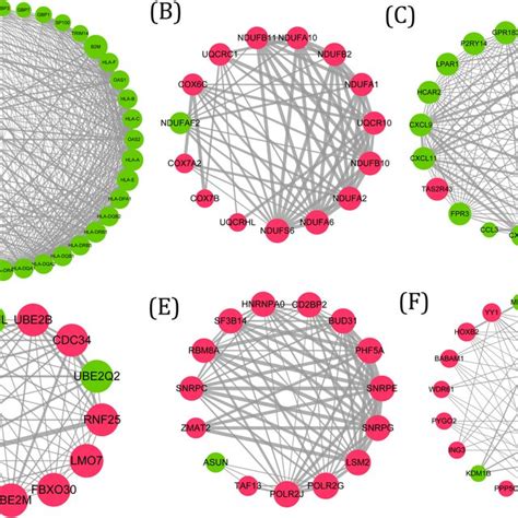 Protein Protein Interaction Network Of Differentially Expressed Genes
