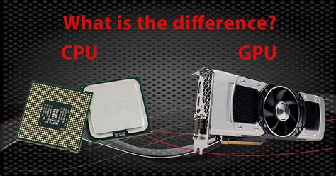 cpu vs gpu what is the difference ami